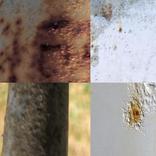 Rust Detection Instance Segmentation Dataset By Rust Detection