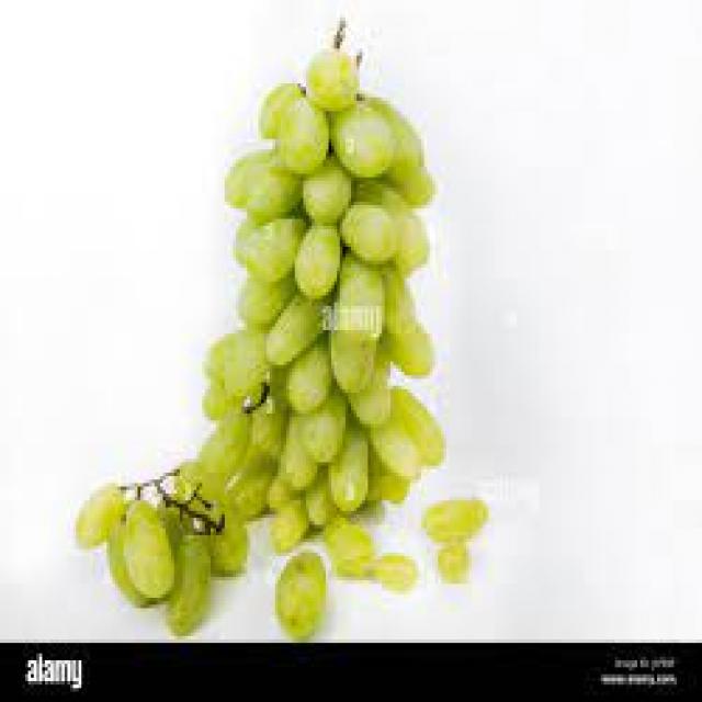 Fruits Instance Segmentation Dataset And Pre Trained Model By Workspace1