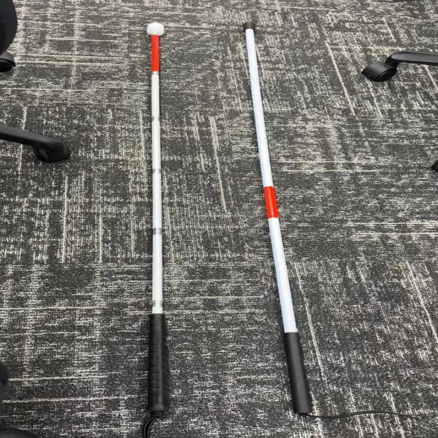 white_cane_detection2 Object Detection Dataset by whitecanedetection