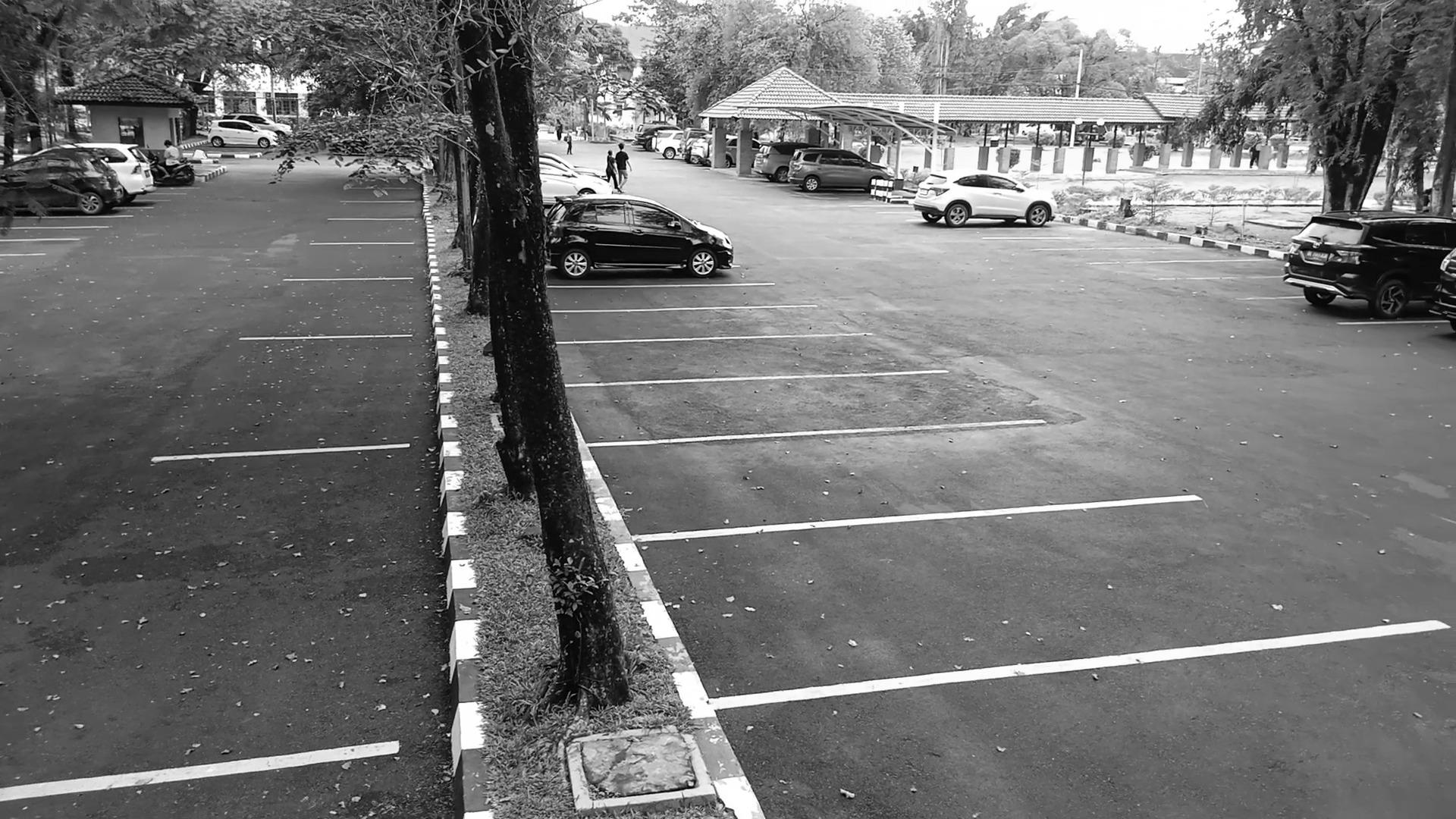 Parking Lot Detection Object Detection Dataset By Cv Test