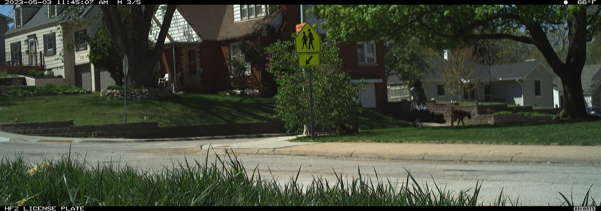 License Plates and Vehicle Models Classification Dataset and Pre ...