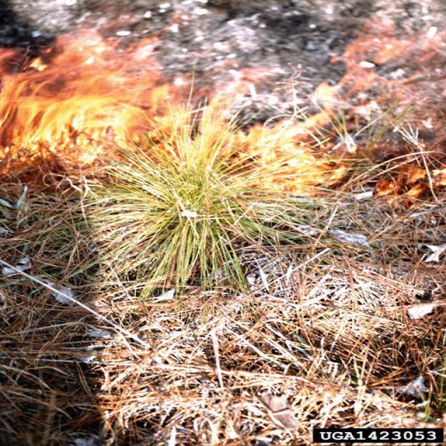 Main Dataset Object Detection Dataset And Pre Trained Model By Fire 2