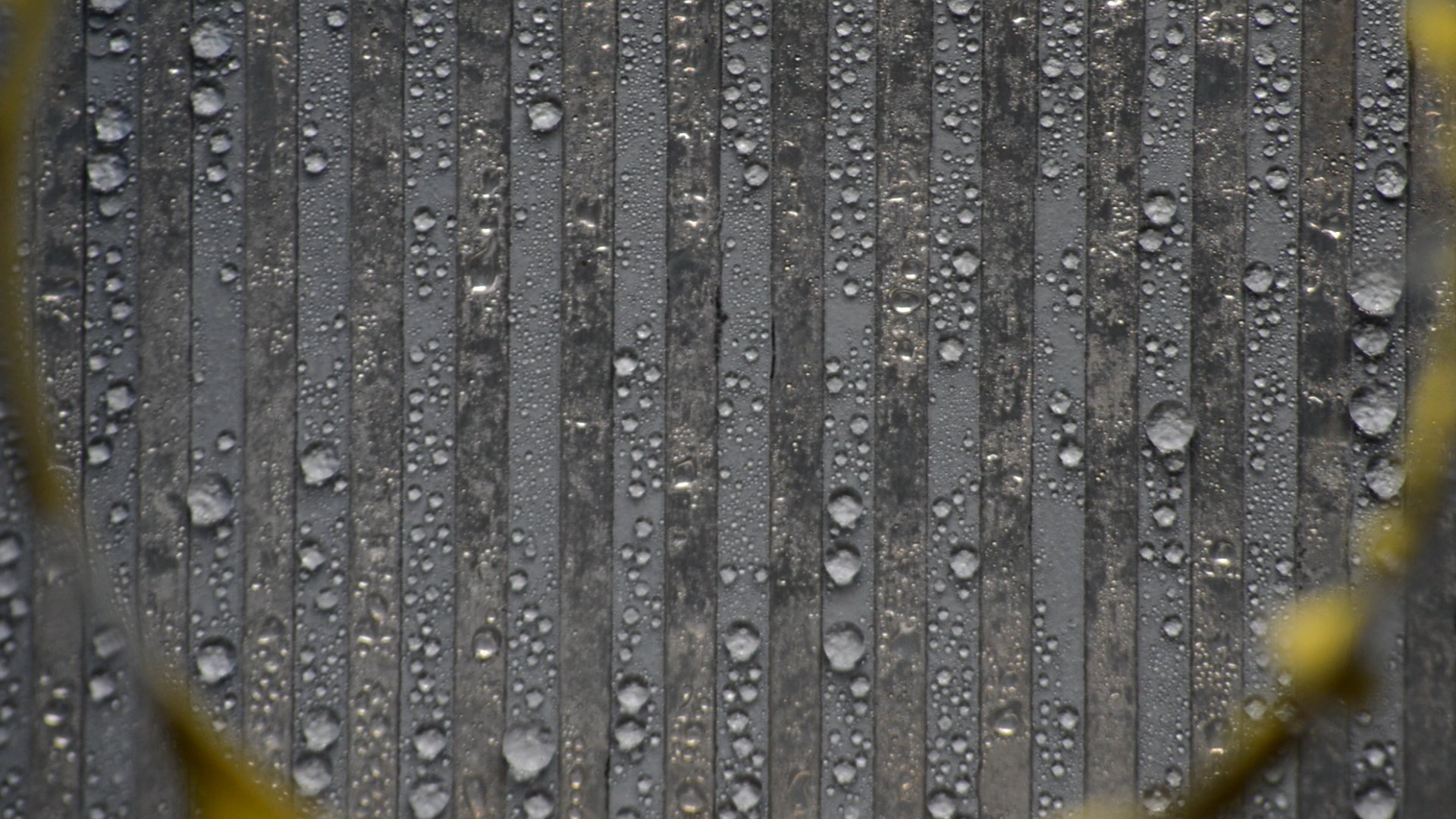 Condensation Object Detection Dataset by CondensationHT