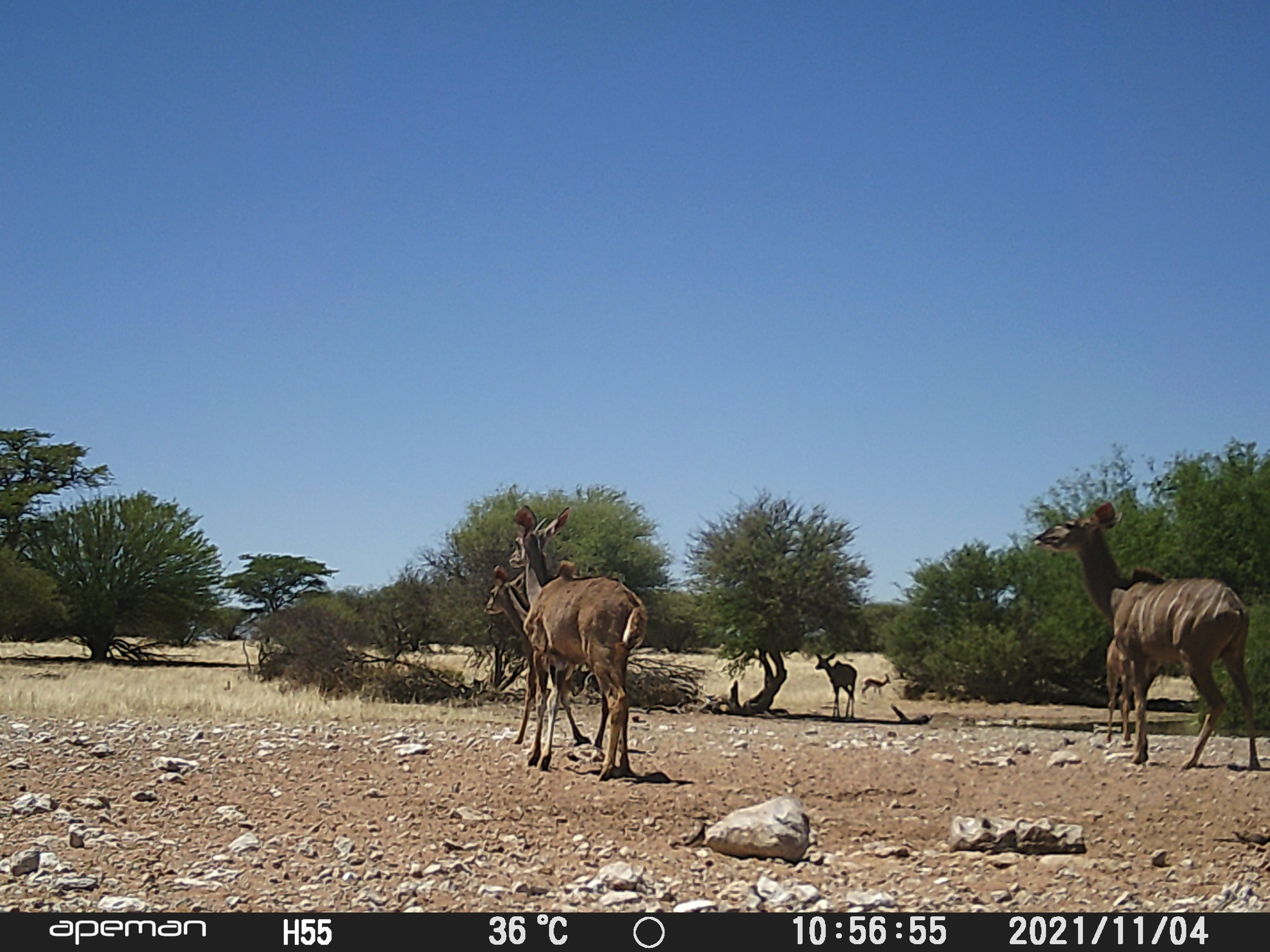 Karim Siala - Roboflow Universe