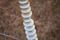 INSULATOR FAULT DETECTION Object Detection Dataset by project