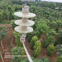 INSULATOR FAULTS DETECTION Object Detection Dataset by project