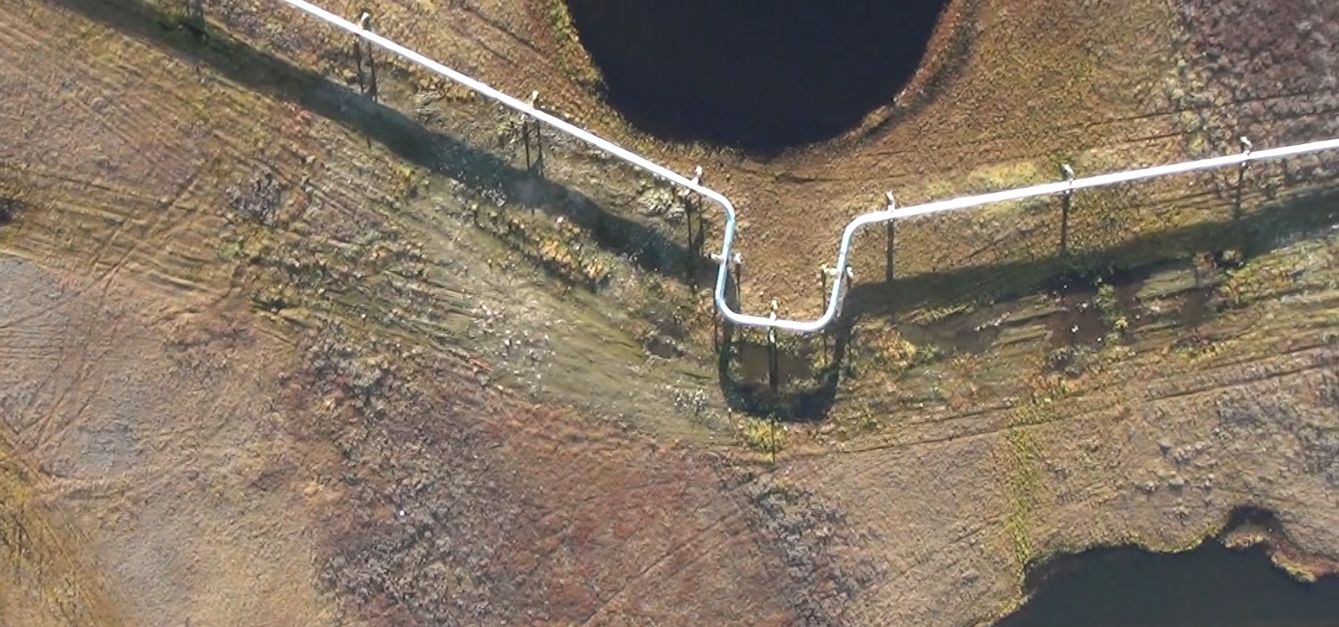 New Yolo Labelling Instance Segmentation Dataset by University