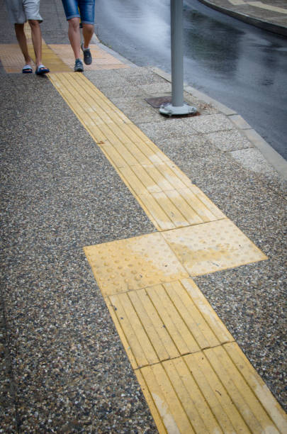 tactile pavement Object Detection Dataset and Pre-Trained Model by susam