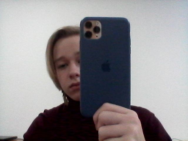 iphone Object Detection Dataset by mikhail