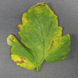 Waste Segregation System Object Detection Dataset and Pre-Trained Model by nkv