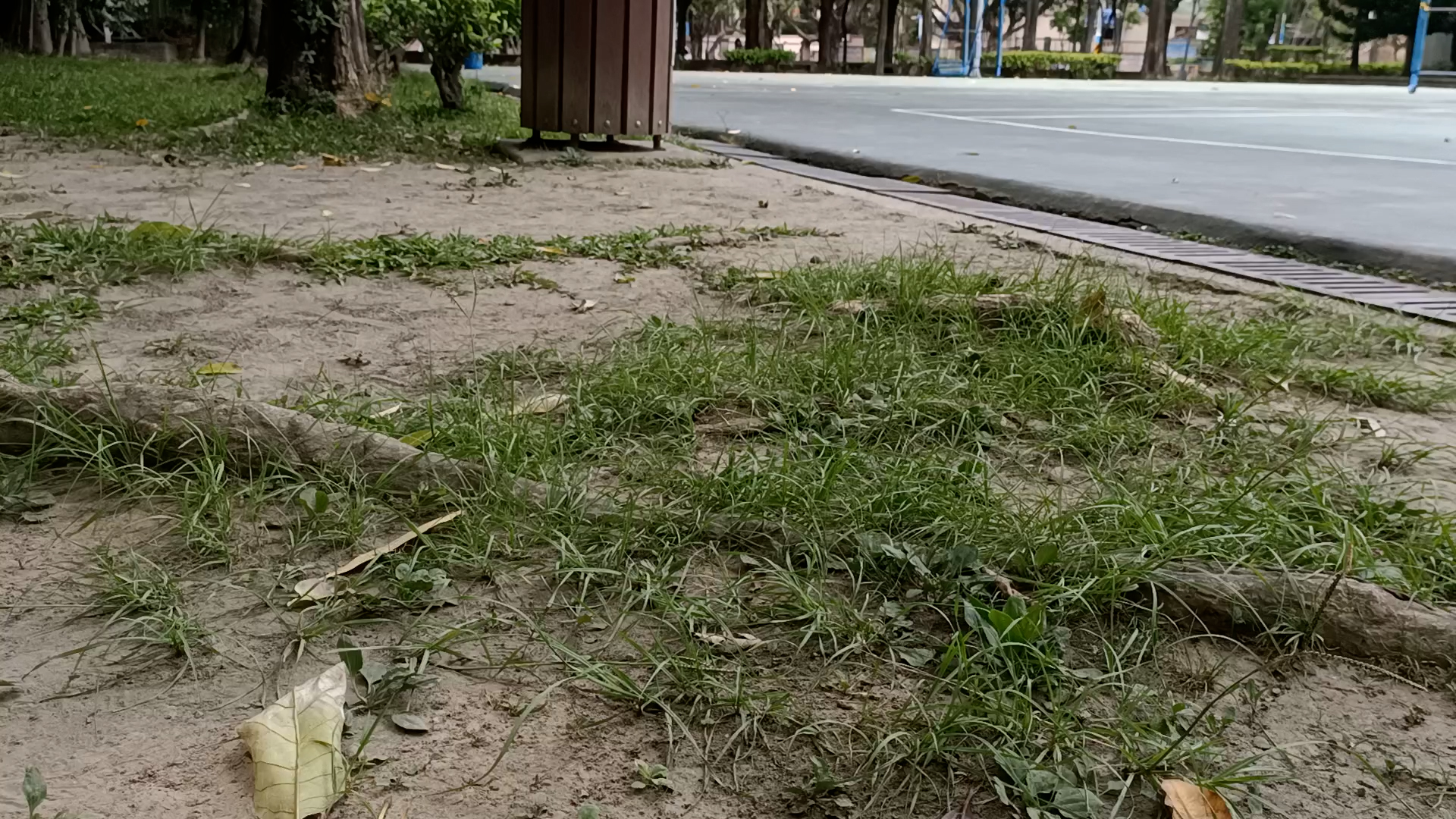 grass Object Detection Dataset by class