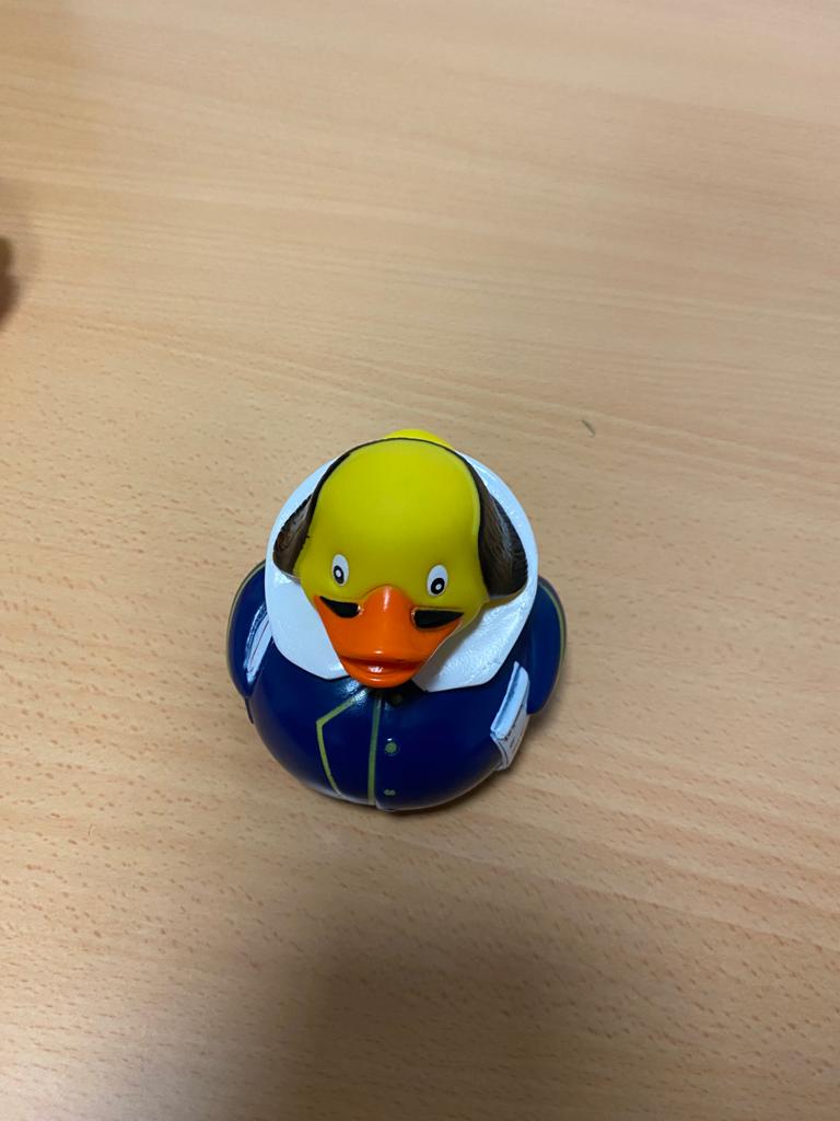 Detecting Rubber Ducks Object Detection Dataset by air force academy
