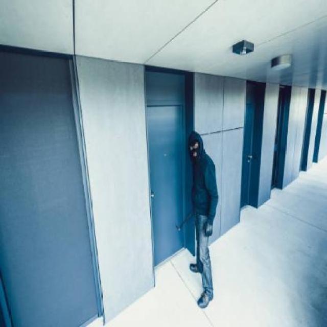 How to Use the weapons yolo Object Detection API