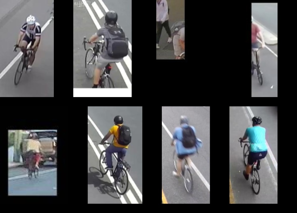 Segmentation Instance Segmentation Dataset and Pre-Trained Model by Moin