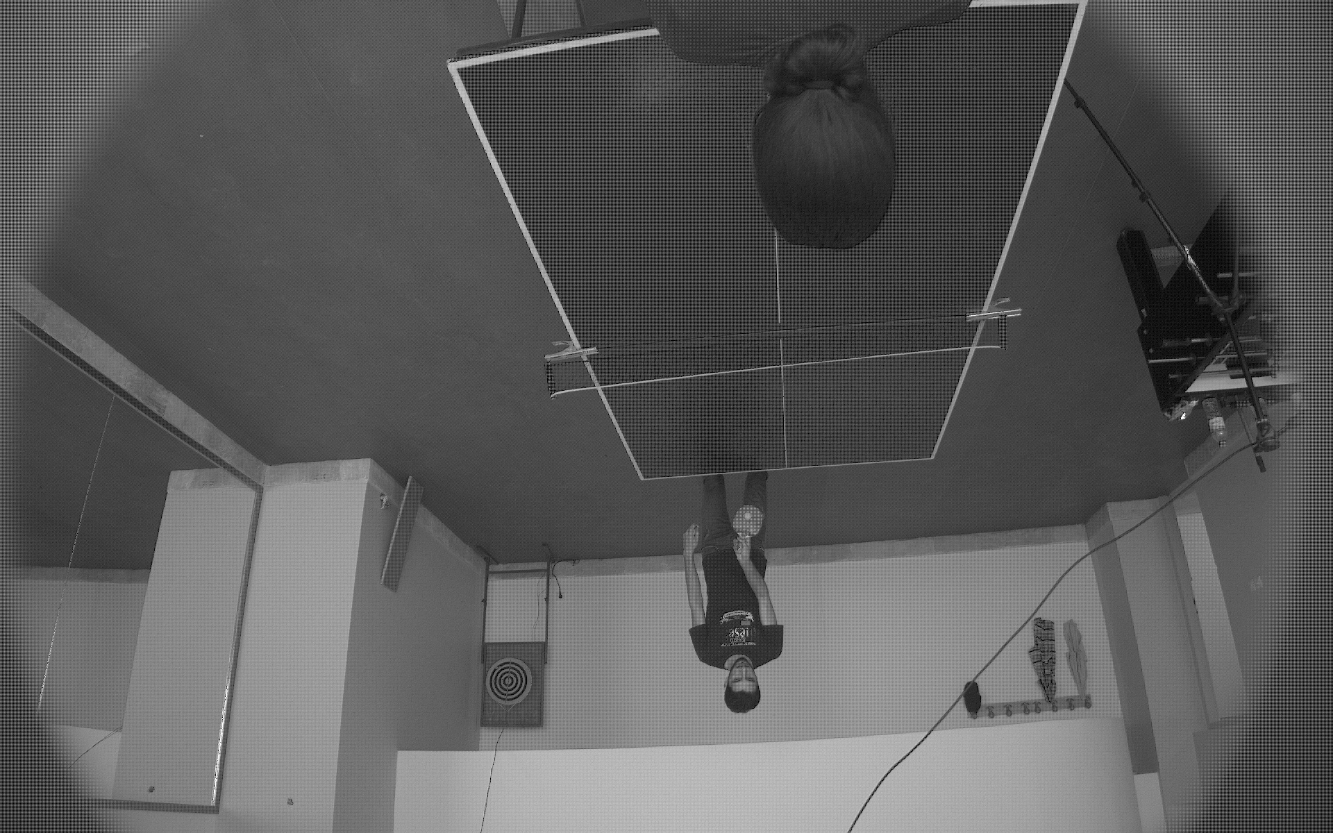 Ping Pong Ball Object Detection Dataset and Pre-Trained Model by Face