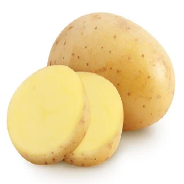 Potato Object Detection Dataset and Pre-Trained Model by Potato project