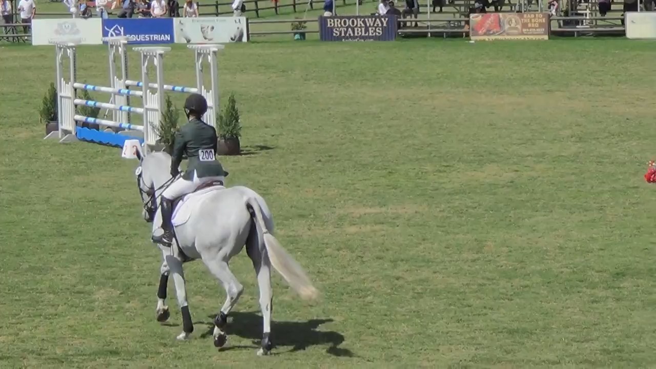 Fence/Hurdles Detection Object Detection Dataset by Equestrian AI