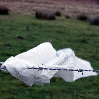 Plastic_Garbage_detection Object Detection Dataset and Pre-Trained ...