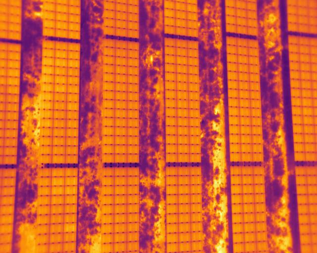 Parth Goel (parth-goel-derby) - Roboflow Universe