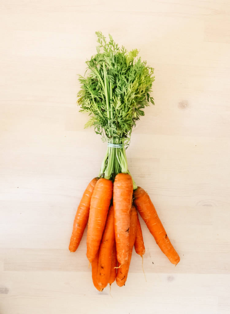 carrot segmentation3 Instance Segmentation Dataset by business