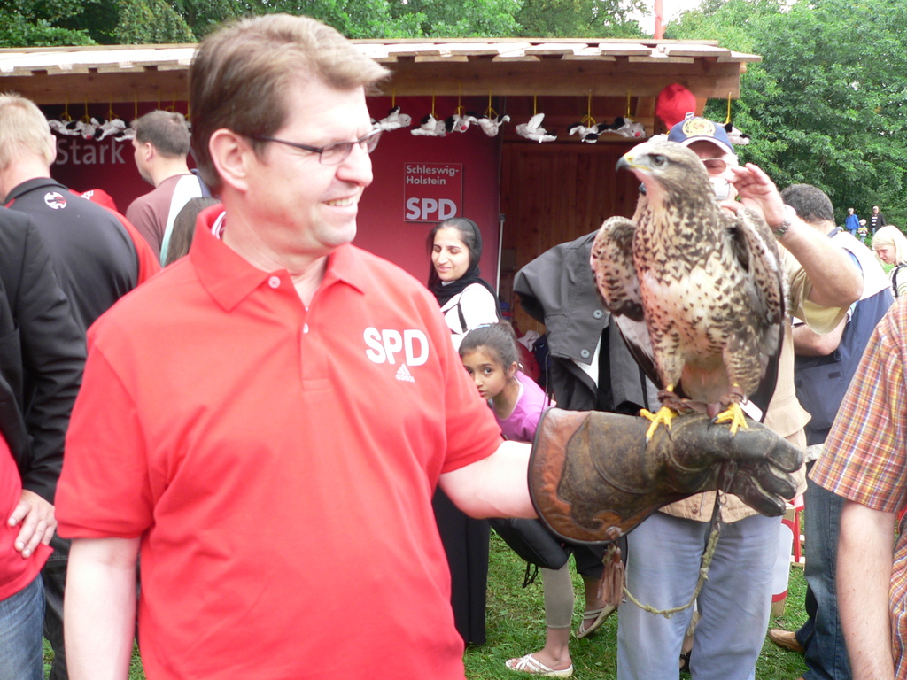 Flying Eagle Object Detection Dataset and Pre-Trained Model by MLAssignment