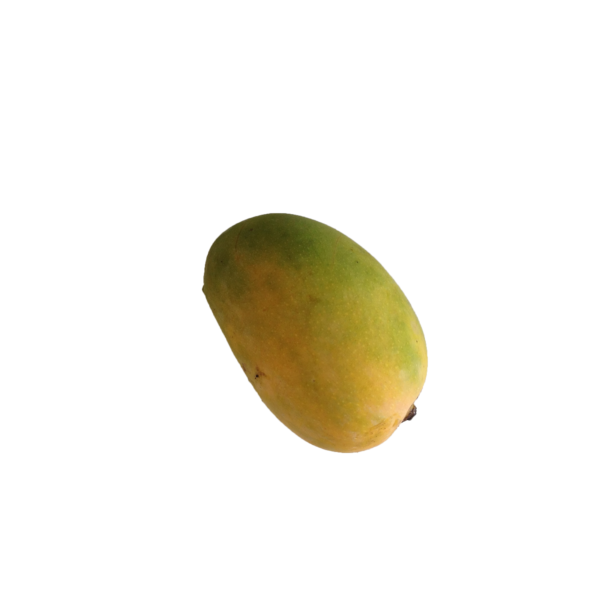 ML_SA_Mango Object Detection Dataset and Pre-Trained Model by Helina