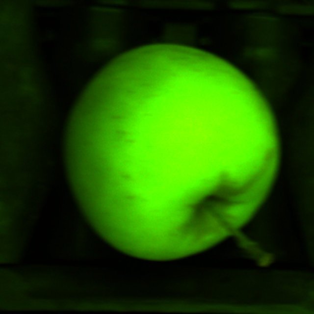 Apple sepal stalk Instance Segmentation Dataset and Pre-Trained Model by Aleister Foster