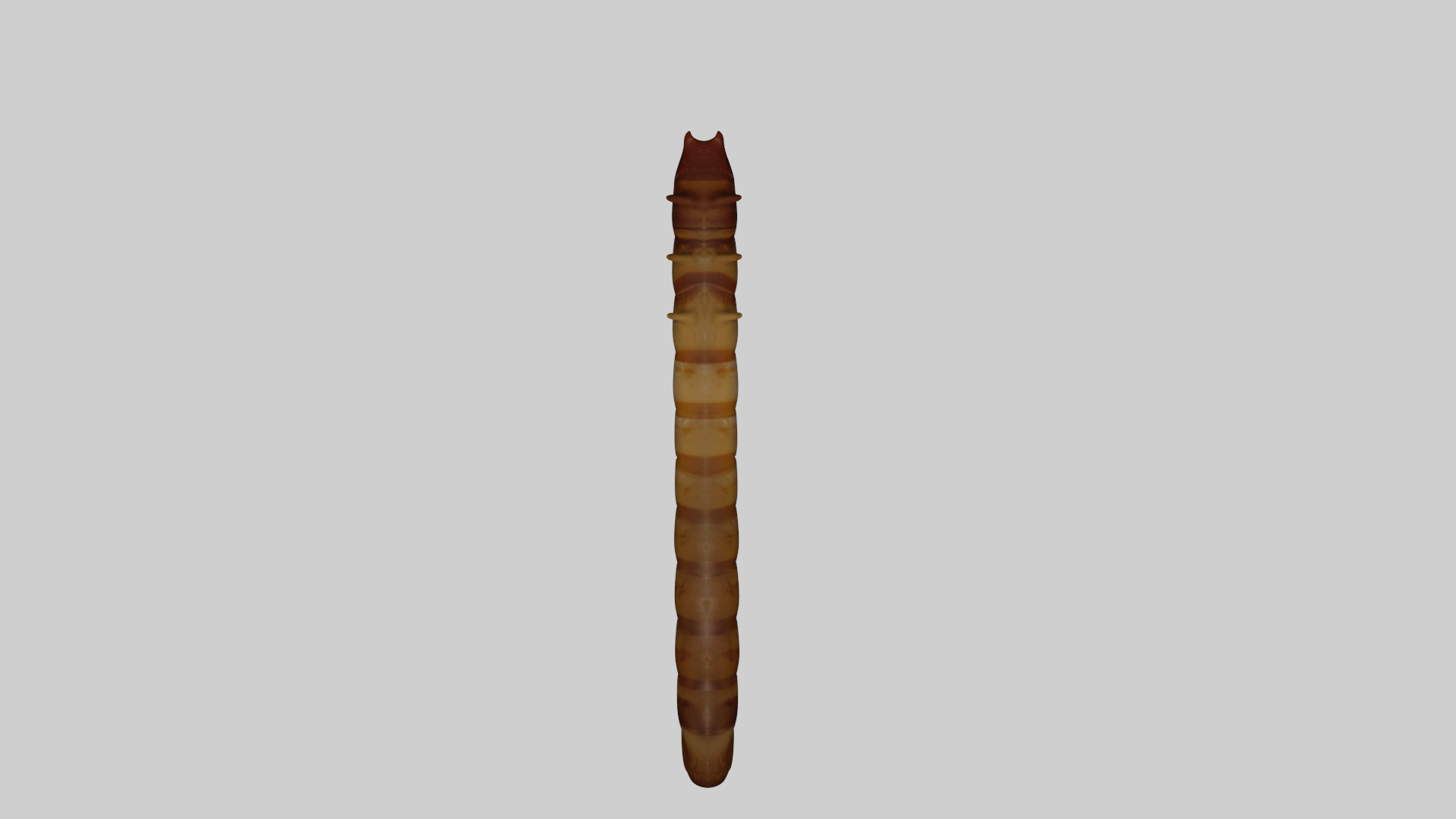 Mealworms Detection Object Detection Dataset By Egg Detection Mixed Eggs