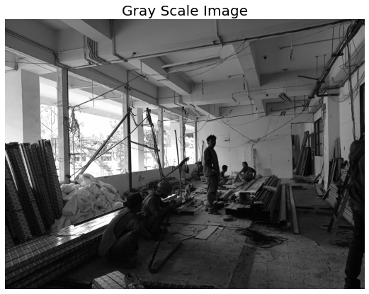 grayscale Object Detection Dataset by susi susanti