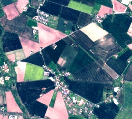 Farmland Instance Segmentation Dataset and Pre-Trained Model by AI