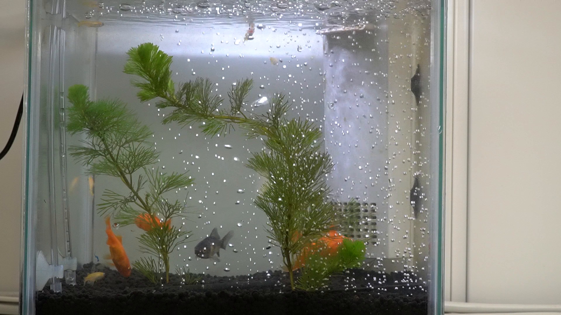 sample Object Detection Dataset and Pre-Trained Model by orange team