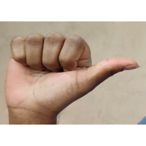 Hand Gestures Object Detection Dataset and Pre-Trained Model by Project