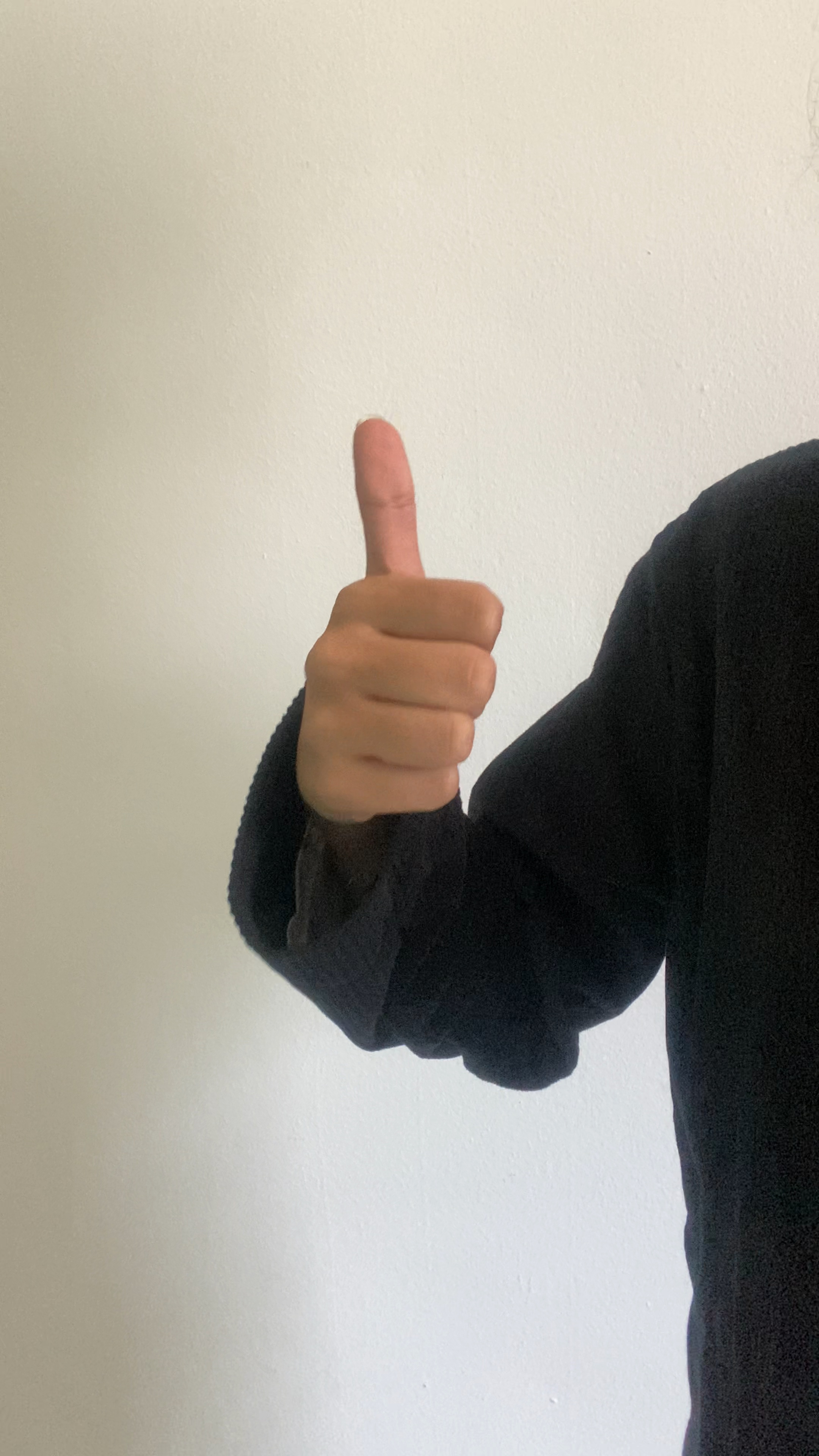 annotate hands Object Detection Dataset and Pre-Trained Model by Sign language