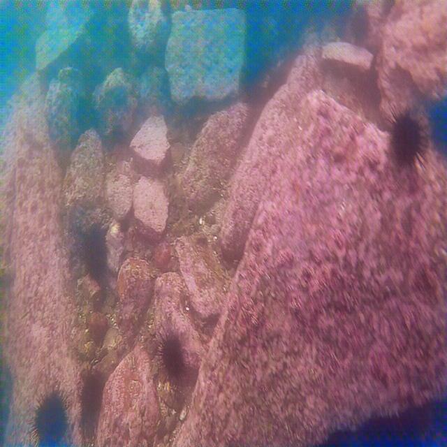 Enhanced Underwater Detection Object Detection Dataset By Workspace