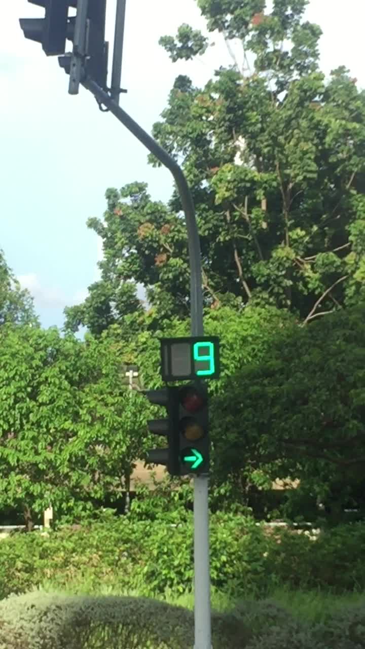 Traffic Light Counter Detection Object Detection Dataset By New