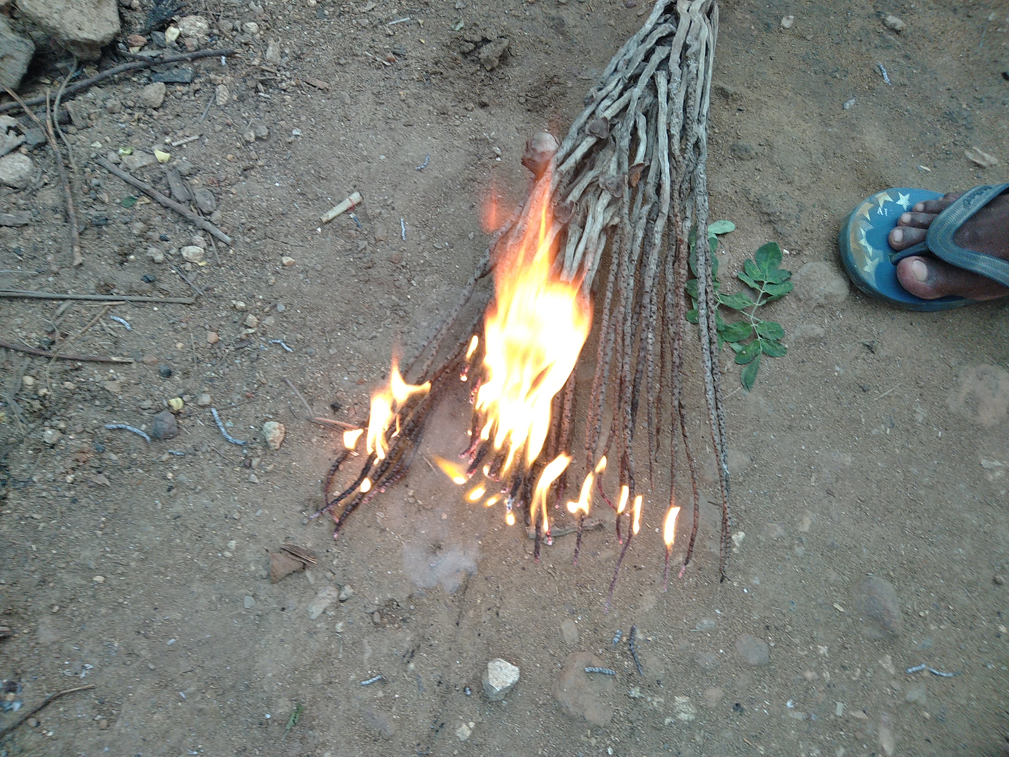 Fire And Smoke Object Detection Dataset By Dataset