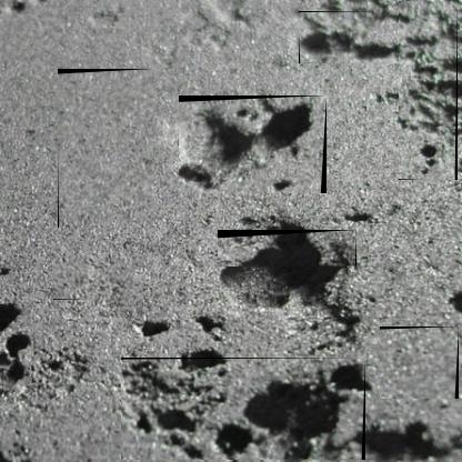 Corrosion_detection_combined_1 Object Detection Dataset by Debolina Sen