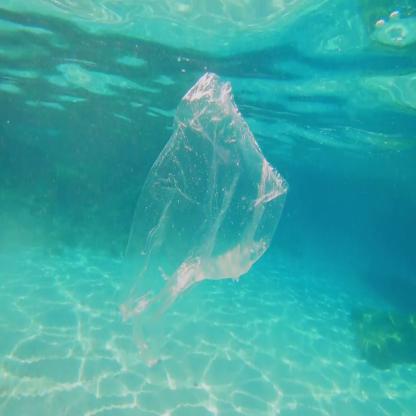 ocean garbage Object Detection Dataset by Raisa Mashtura