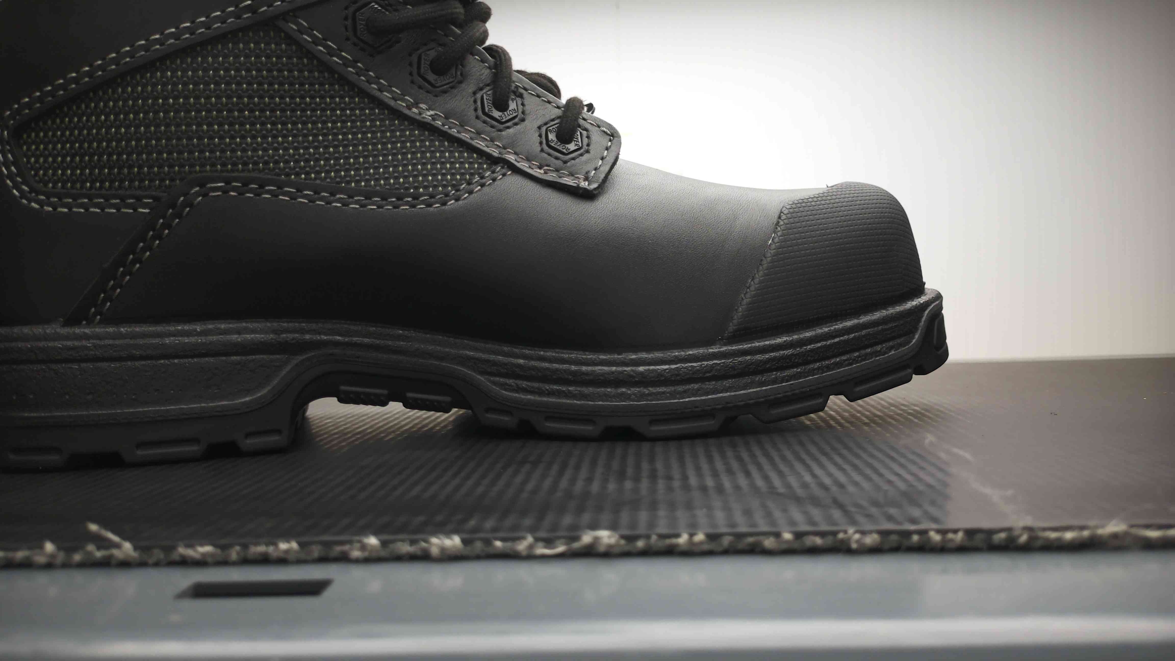 LP Royer - Roboflow Universe