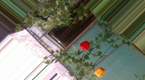 EYRC Object Detection Dataset by roboflow