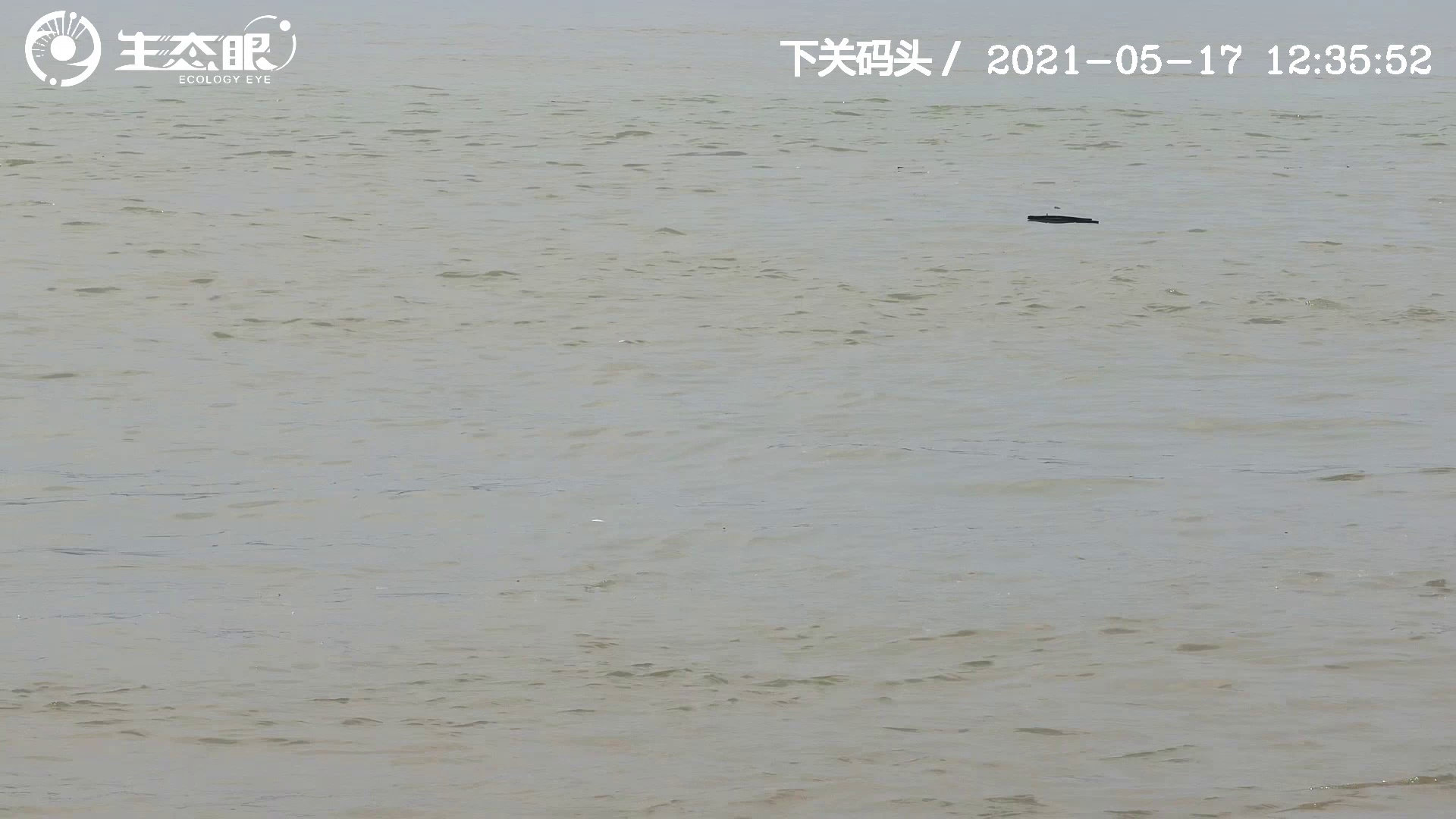 big_bird Object Detection Dataset and Pre-Trained Model by project-5i49b