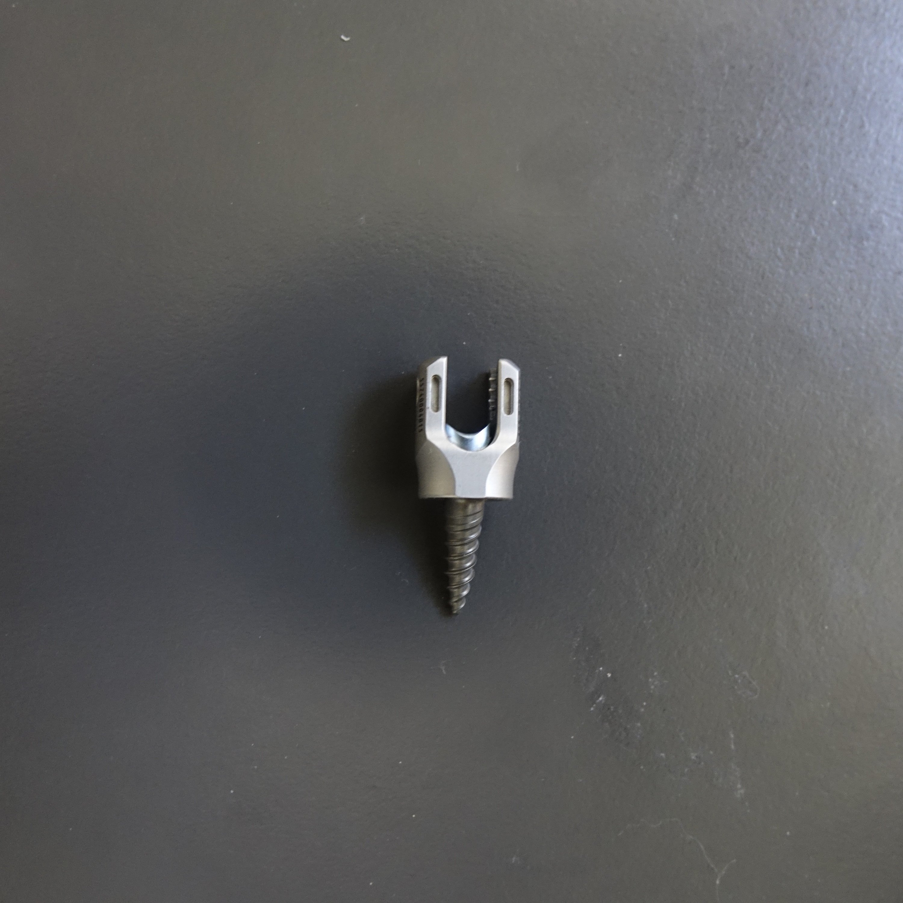 Pedicle screw identification Instance Segmentation Dataset and Pre-Trained Model by Thomas Nonn