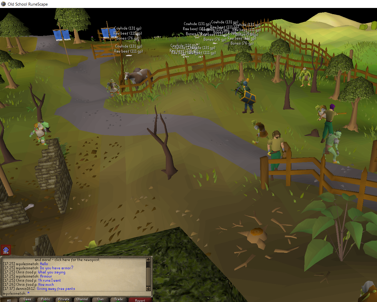 Osrs Goblins Object Detection Dataset By Tomas Marin