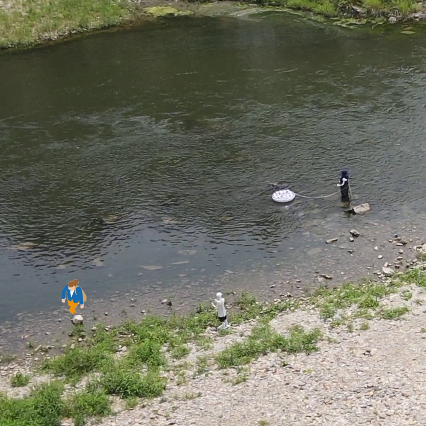 arrf_comp2_v1 Object Detection Dataset and Pre-Trained Model by Sasanka ...