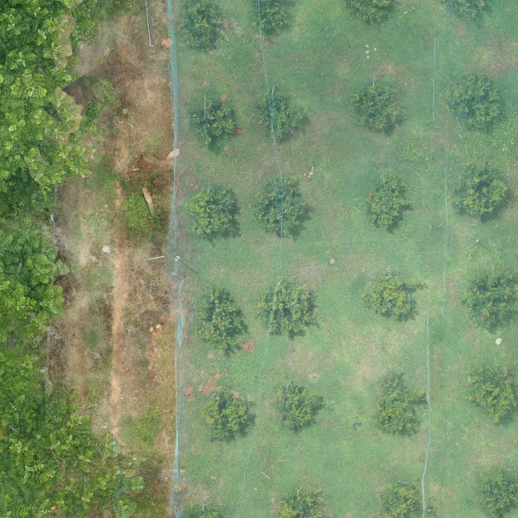 prac2 Object Detection Dataset by home