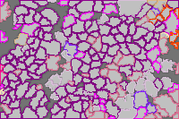 Forest Analysis Instance Segmentation Dataset and Pre-Trained Model by ...