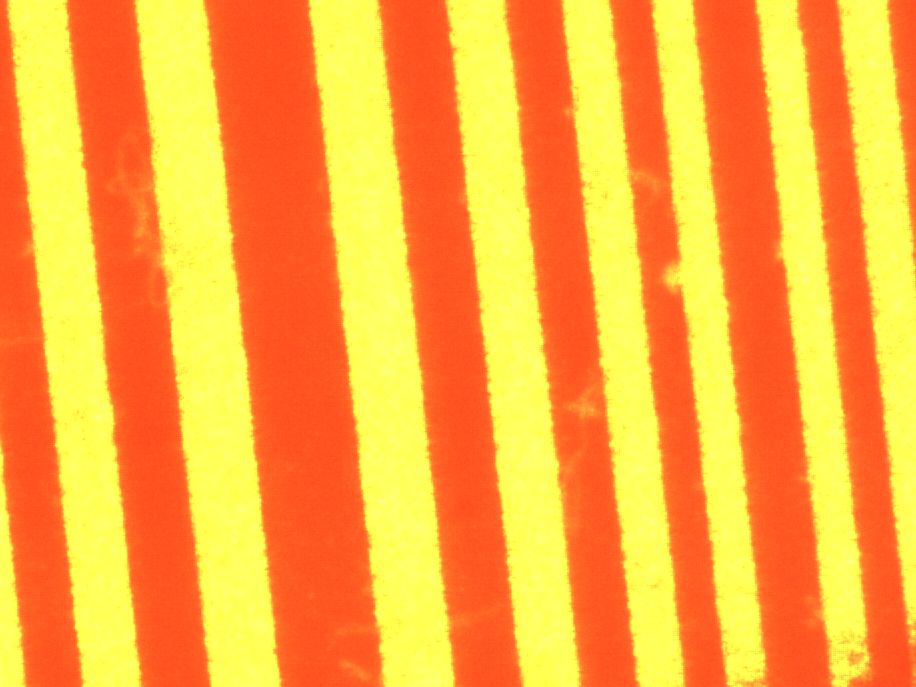 copper-labels Instance Segmentation Dataset by label work