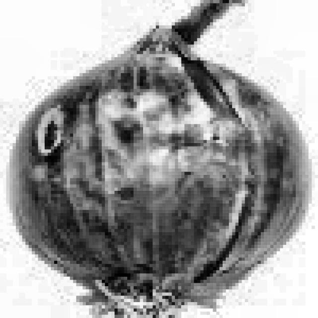 onion test Object Detection Dataset and Pre-Trained Model by smoob