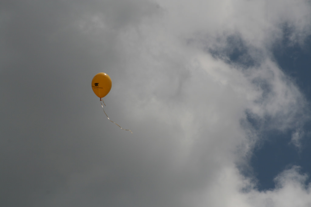 balloon Instance Segmentation Dataset by balloon