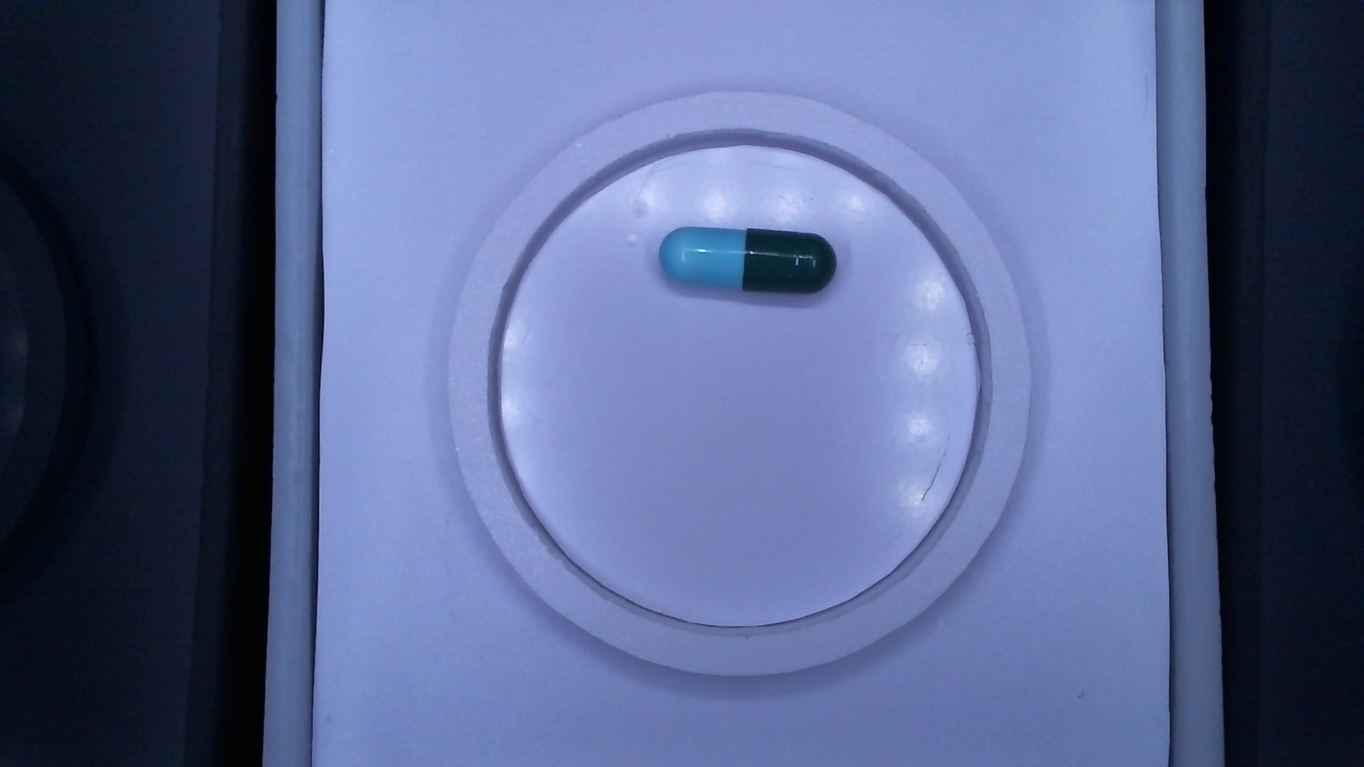 Amoxicillin Object Detection Dataset by Drug